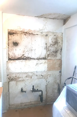 When NYCHA Fails to Properly Treat your Home for Mold - Lead and Mold ...