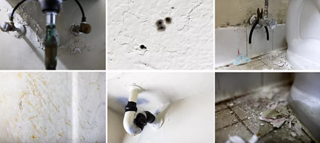 When NYCHA Fails to Properly Treat your Home for Mold - Lead and Mold ...