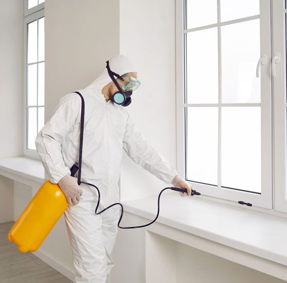 Pest Removal Service - Lead and Mold Detectives