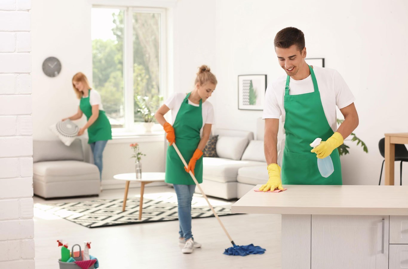 Lead Home Cleaning Service - Lead and Mold Detectives